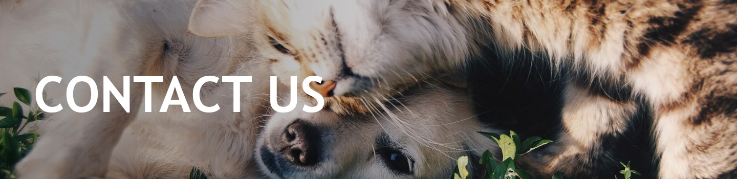 Contact Us - shop.independentpetsupply.com